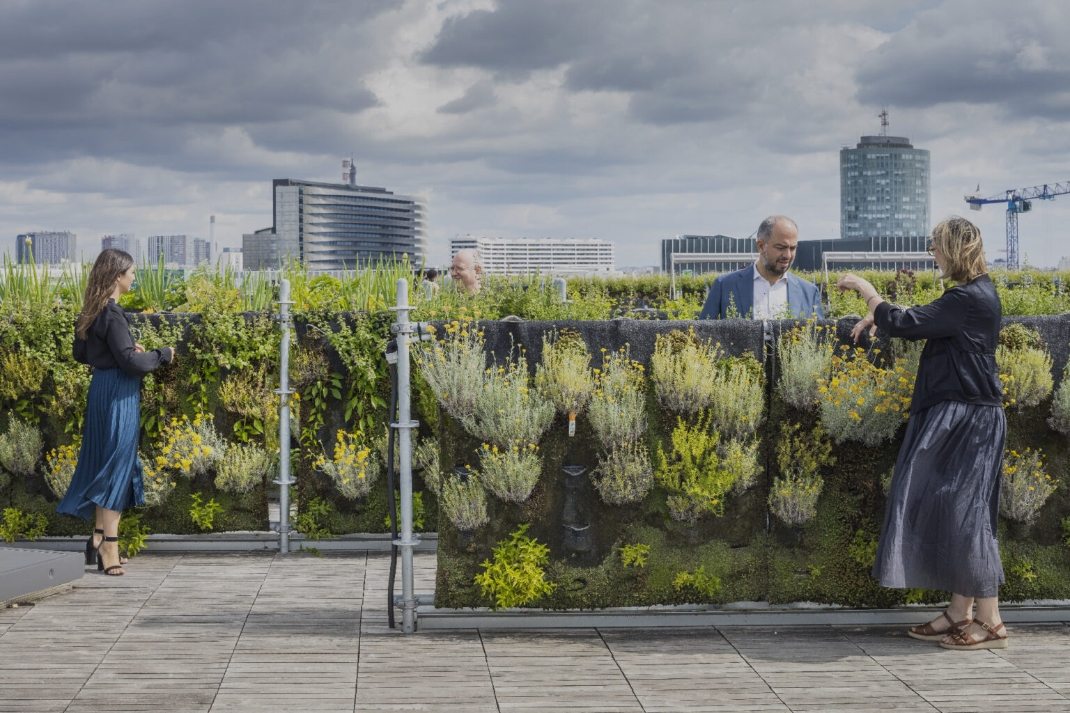 SHiFT - Arte Charpentier